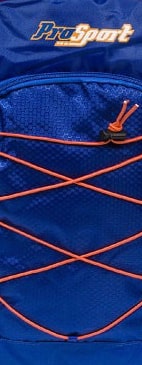 Pro Sport Backpack 17" – TheCEO.Store